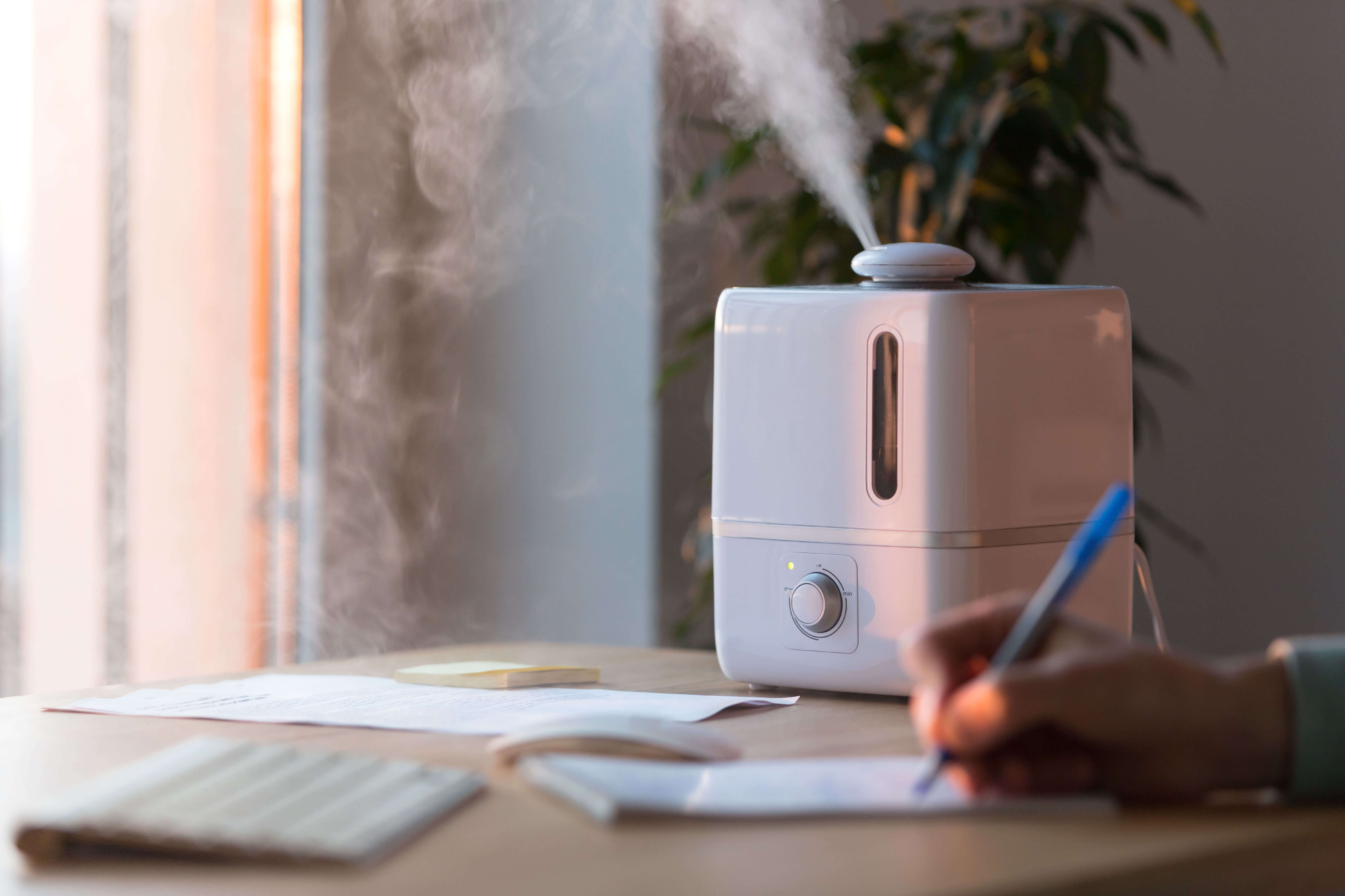 Humidificador: todo lo que debes saber